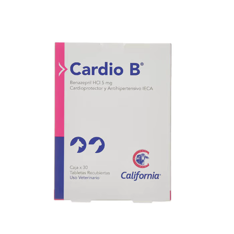 CARDIAL – Enalapril + Espironolactona para Insuficiencia Cardíaca en ...